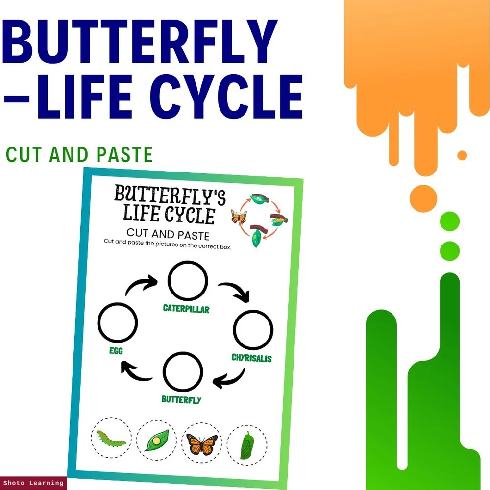 SEO Title: Butterfly Life Cycle Missing Letter Worksheets for Kids