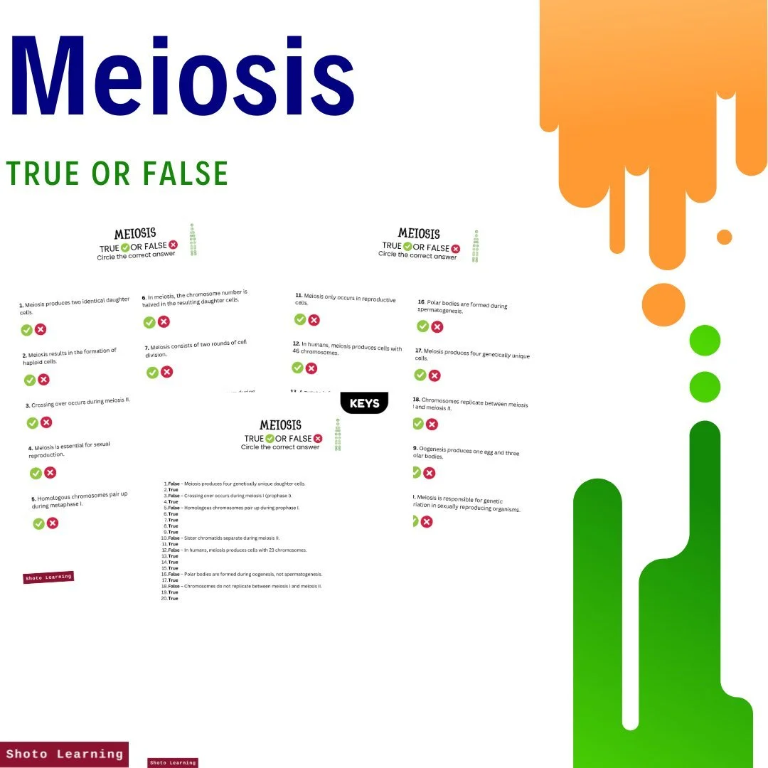 Interactive Meiosis Game Worksheet Bundle | Fun Learning Tools