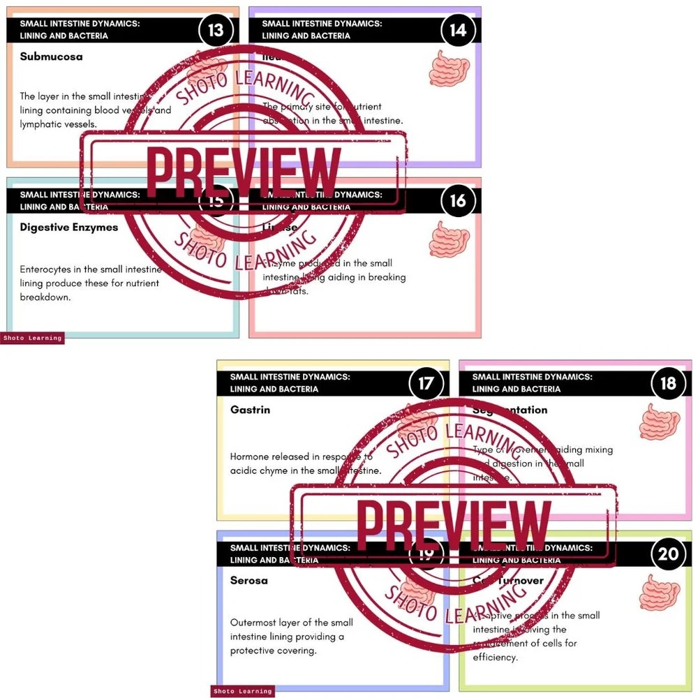 Small Intestine Villi Cut & Paste Activity | Anatomy