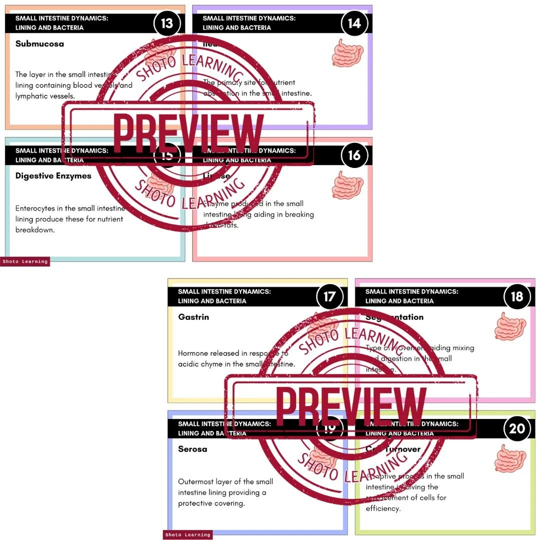 Small Intestine Villi Cut & Paste Activity | Anatomy