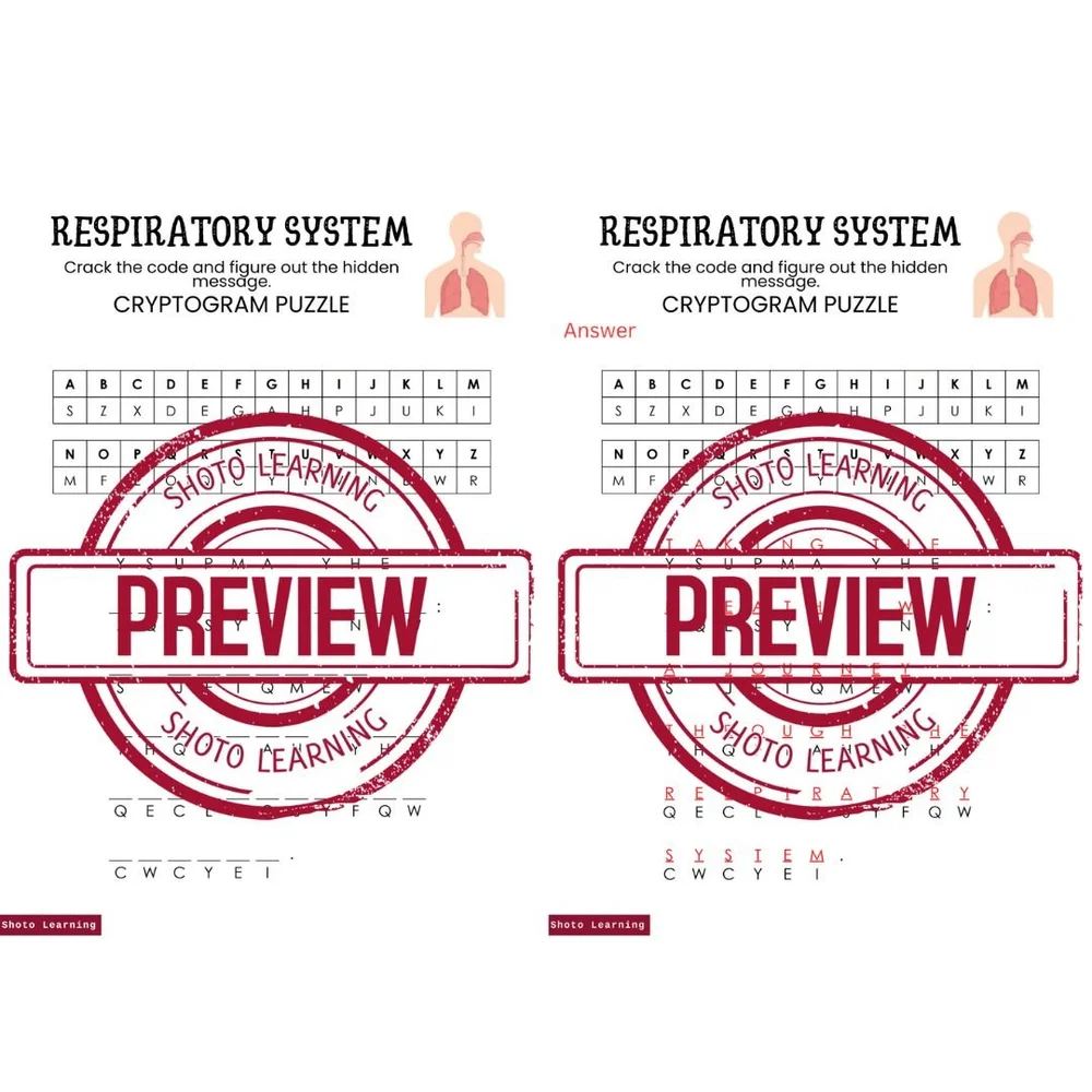 Respiratory System Poster: Learn Anatomy & Function | Free Download