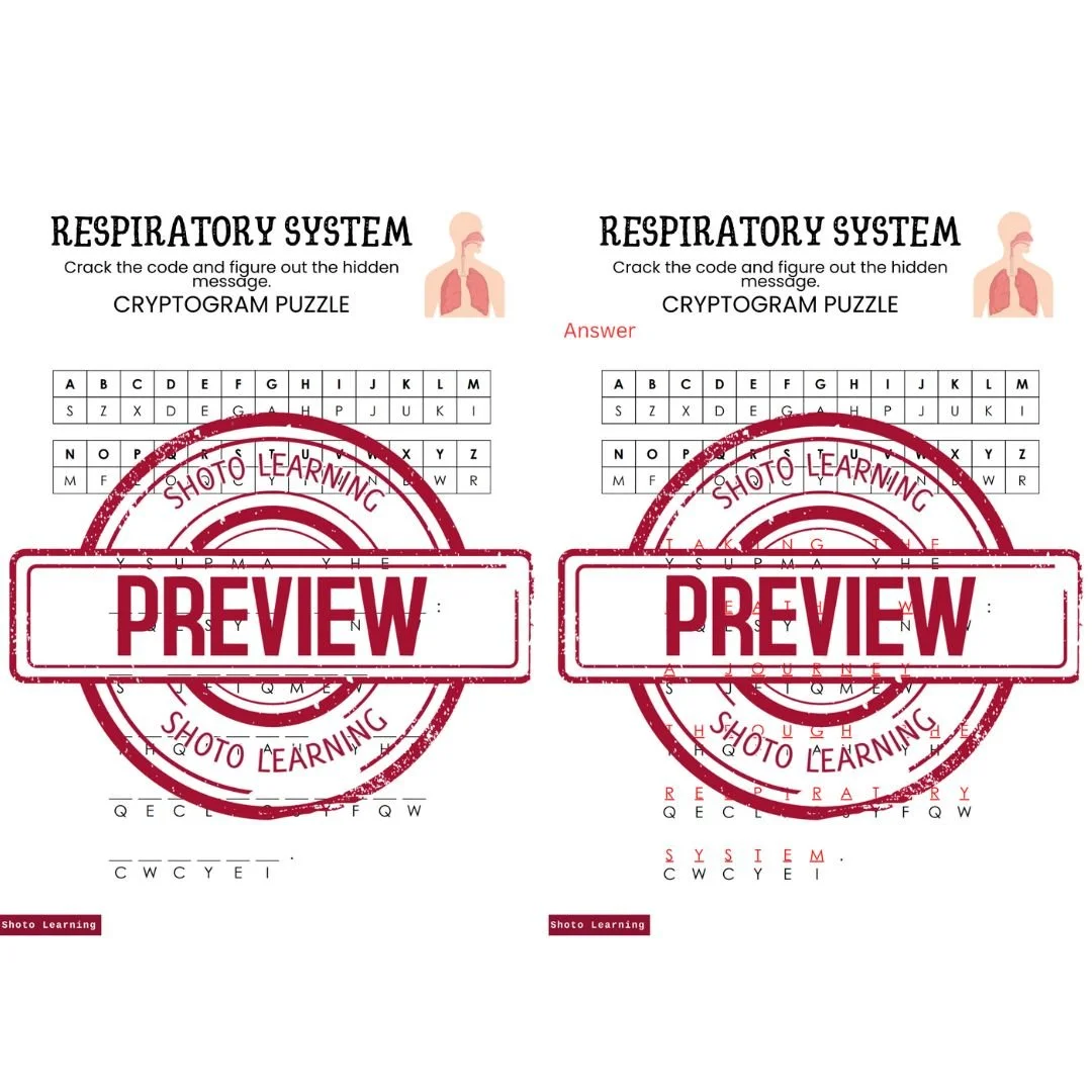 Respiratory System Poster: Learn Anatomy & Function | Free Download