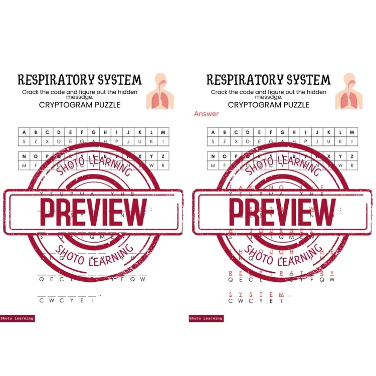 Respiratory System Diagram: Fill in the Blanks and Learn