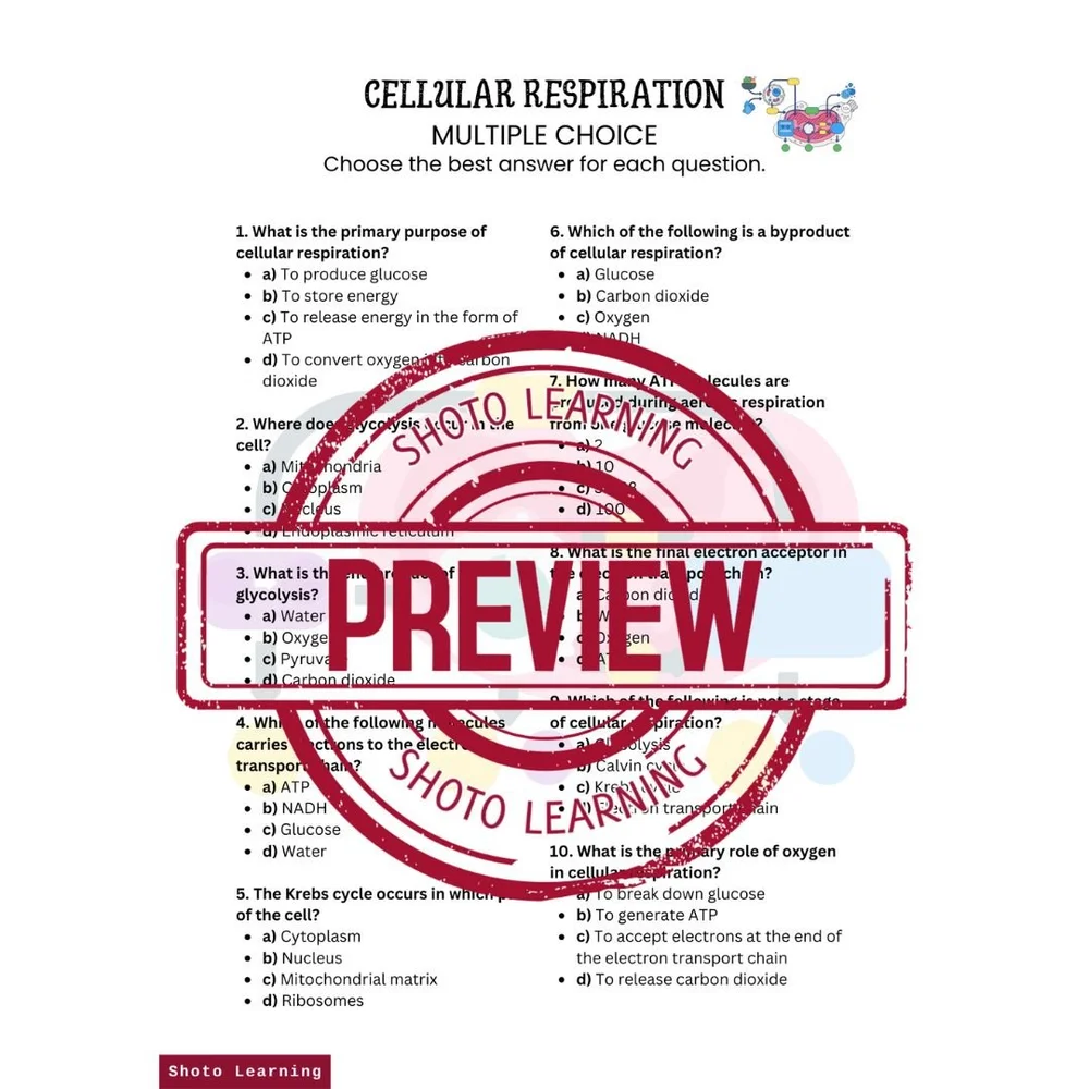 Cellular Respiration Missing Letters Worksheets – 20 Key Terms