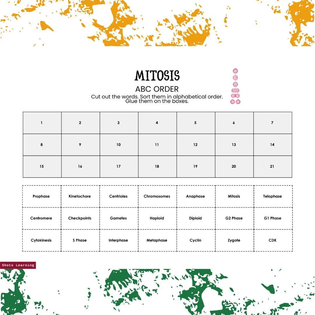 Plant Cell Mitosis Cut and Paste Activity for Hands-On Learning