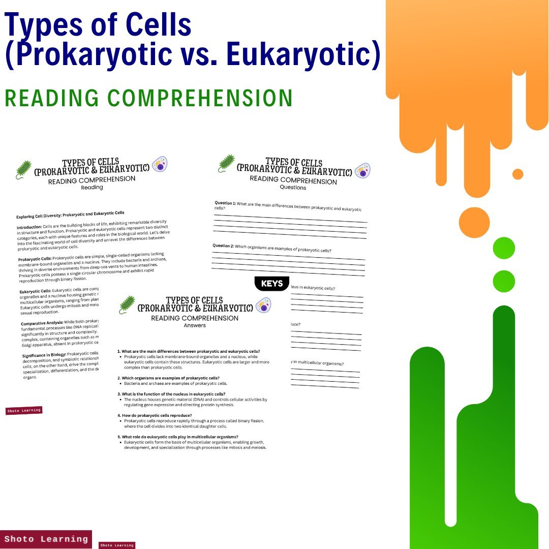 Grade 6 Cell Biology Worksheets and Game Bundle