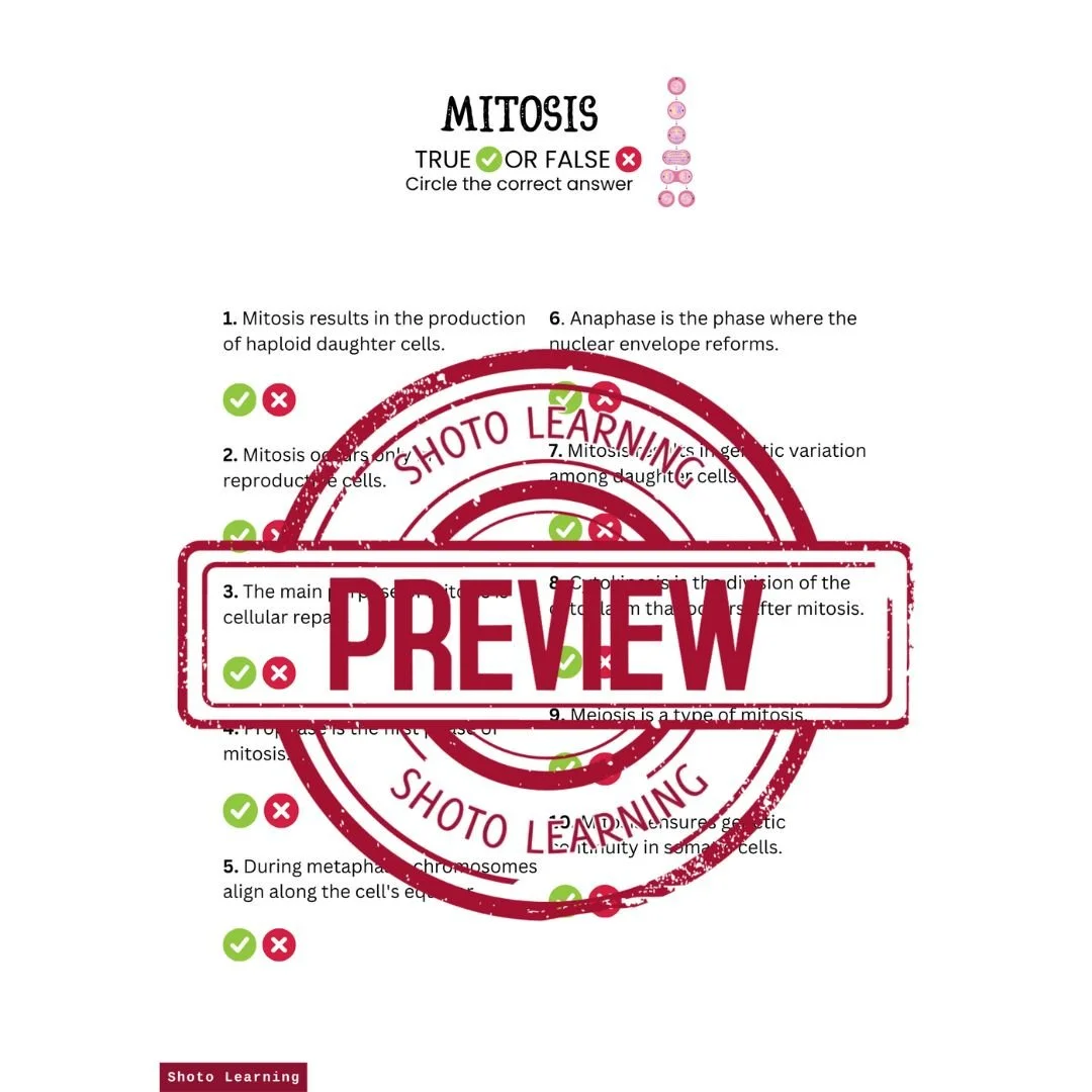 Unveiling Mitosis Poster - Educational Cell Division Chart
