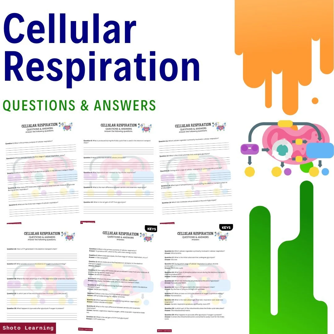 Cellular Respiration Label Worksheet | Word Box & Answer Key