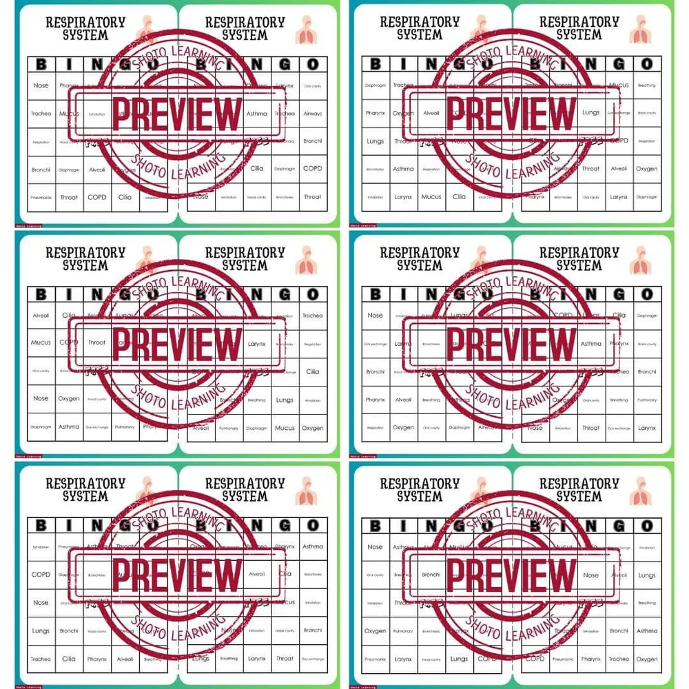Respiratory System Diagram: Fill in the Blanks and Learn
