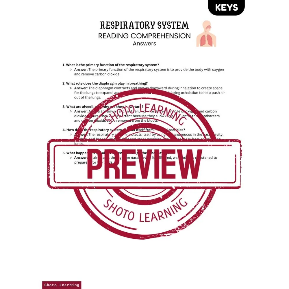 Respiratory System Bingo: Fun Learning Game
