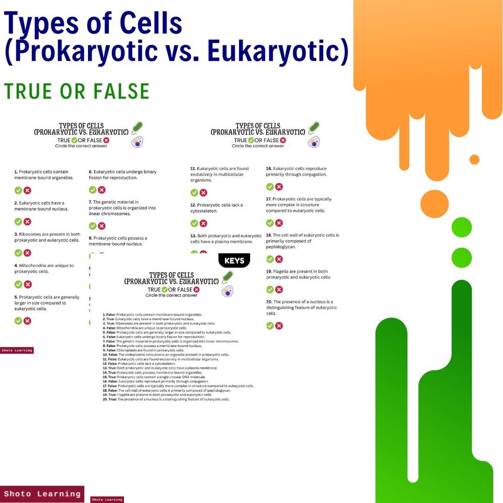 Biology Worksheet Bundle: Prokaryotic vs Eukaryotic Cells