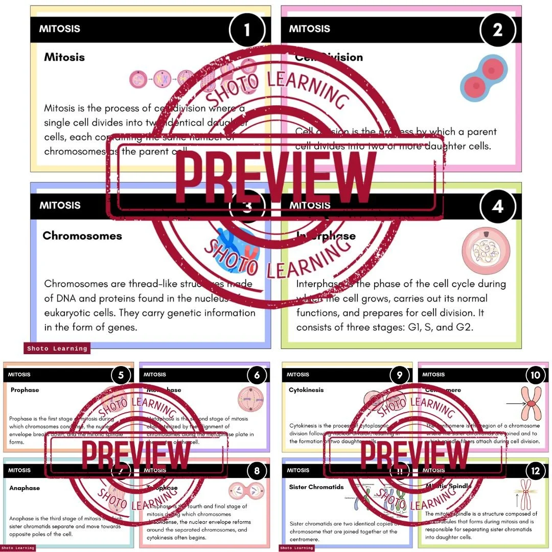 Mitosis Mystery Worksheet – Fun Missing Letter Activity