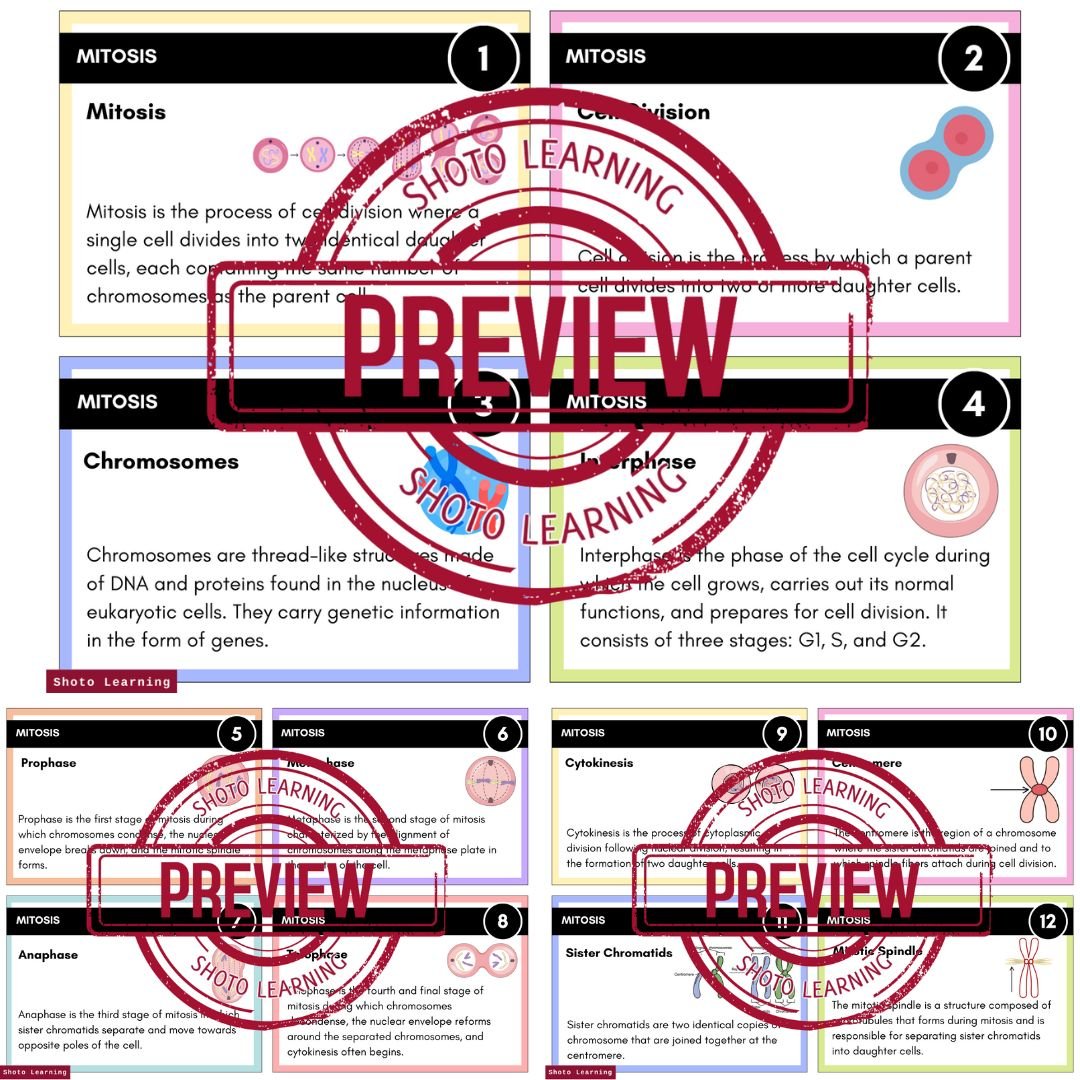 Mitosis Mystery Worksheet – Fun Missing Letter Activity