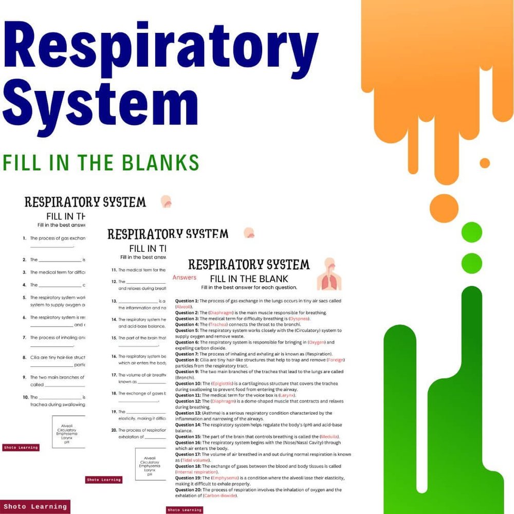 Respiratory System Diagram: Fill in the Blanks and Learn