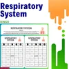 Respiratory System Diagram: Fill in the Blanks and Learn