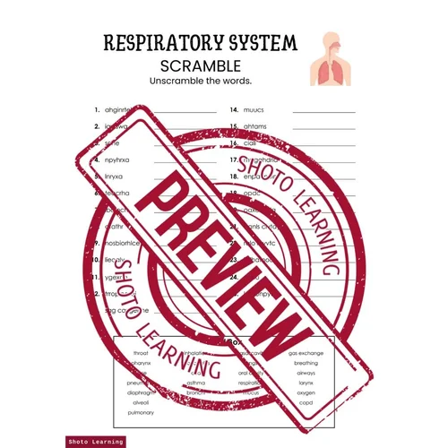 Respiratory System Vocabulary: Unscramble Word Worksheet