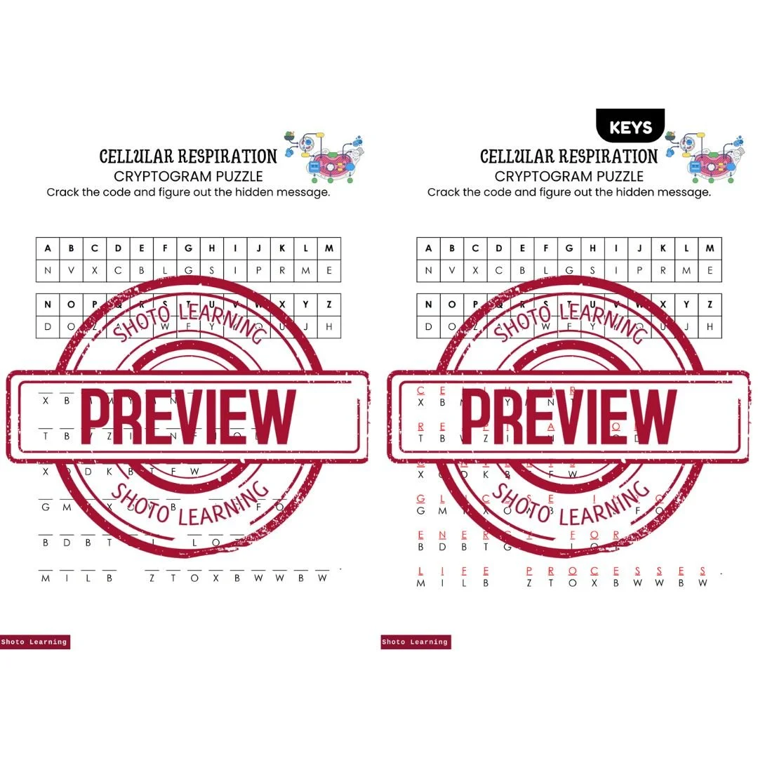Cellular Respiration Label Worksheet | Word Box & Answer Key