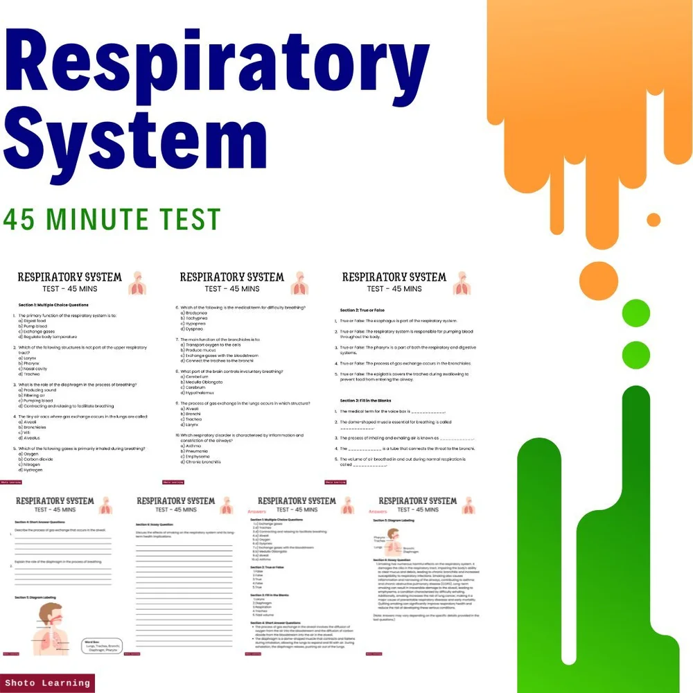 Respiratory System Bundle: Lessons, Activities & More