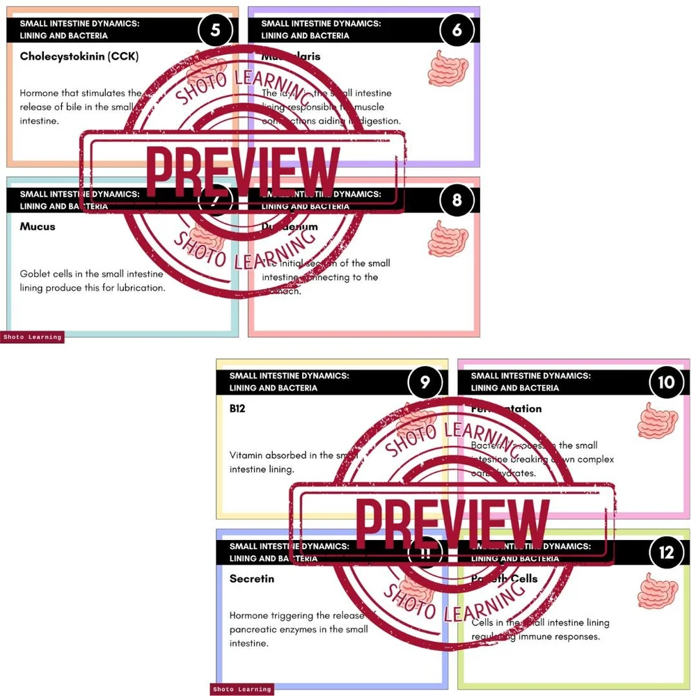 Small Intestine Villi Cut & Paste Activity | Anatomy