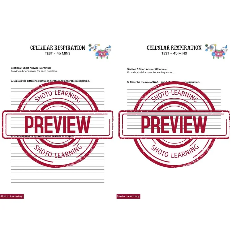 Cellular Respiration Flashcards | 20 Key Biology Terms