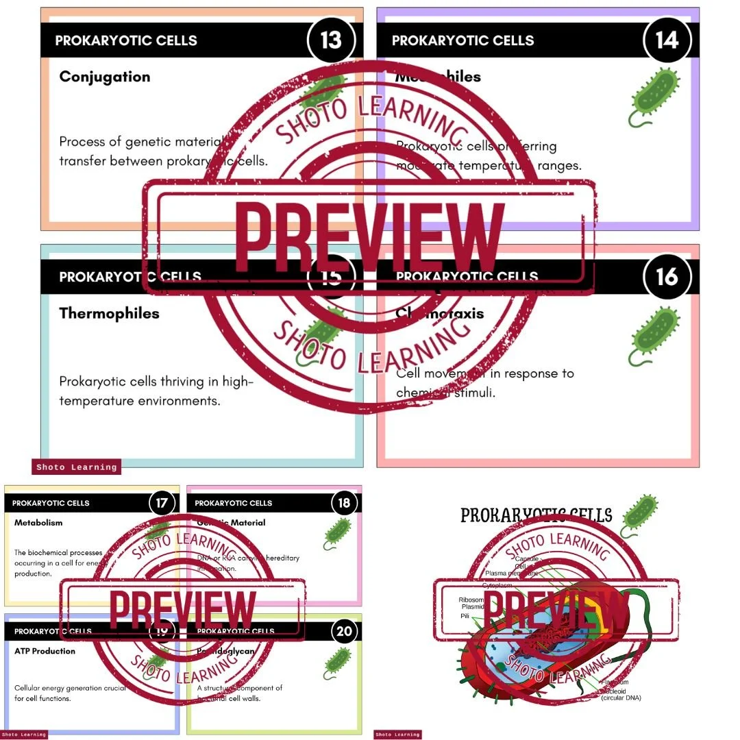 Prokaryotic Cells: PowerPoint, Speech, Video