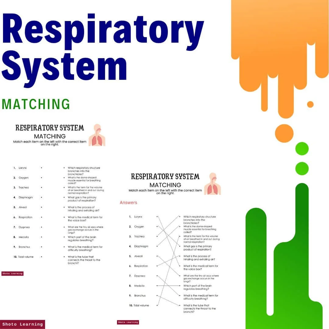 Respiratory System Diagram: Fill in the Blanks and Learn