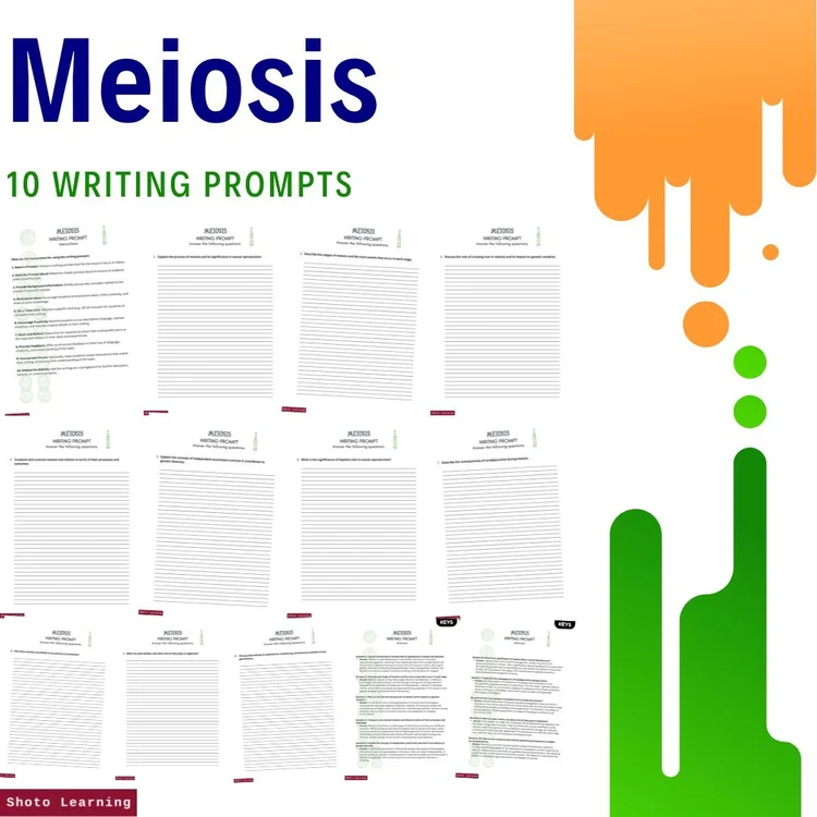 Meiosis Multiple Choice Worksheet | 20 Questions & Answer Key