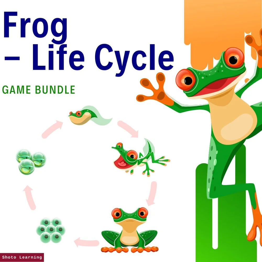 Frog Life Cycle Wheel & Worksheet Activity for Kids