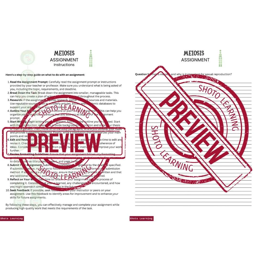 Interactive Meiosis Game Worksheet Bundle | Fun Learning Tools