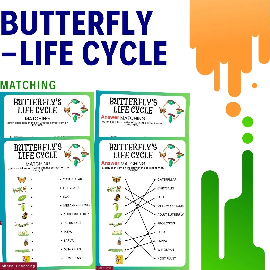 Butterfly Life Cycle Worksheets: Fun & Educational Experiments