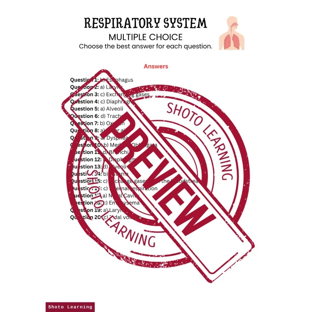 Respiratory System Poster: Learn Anatomy & Function | Free Download
