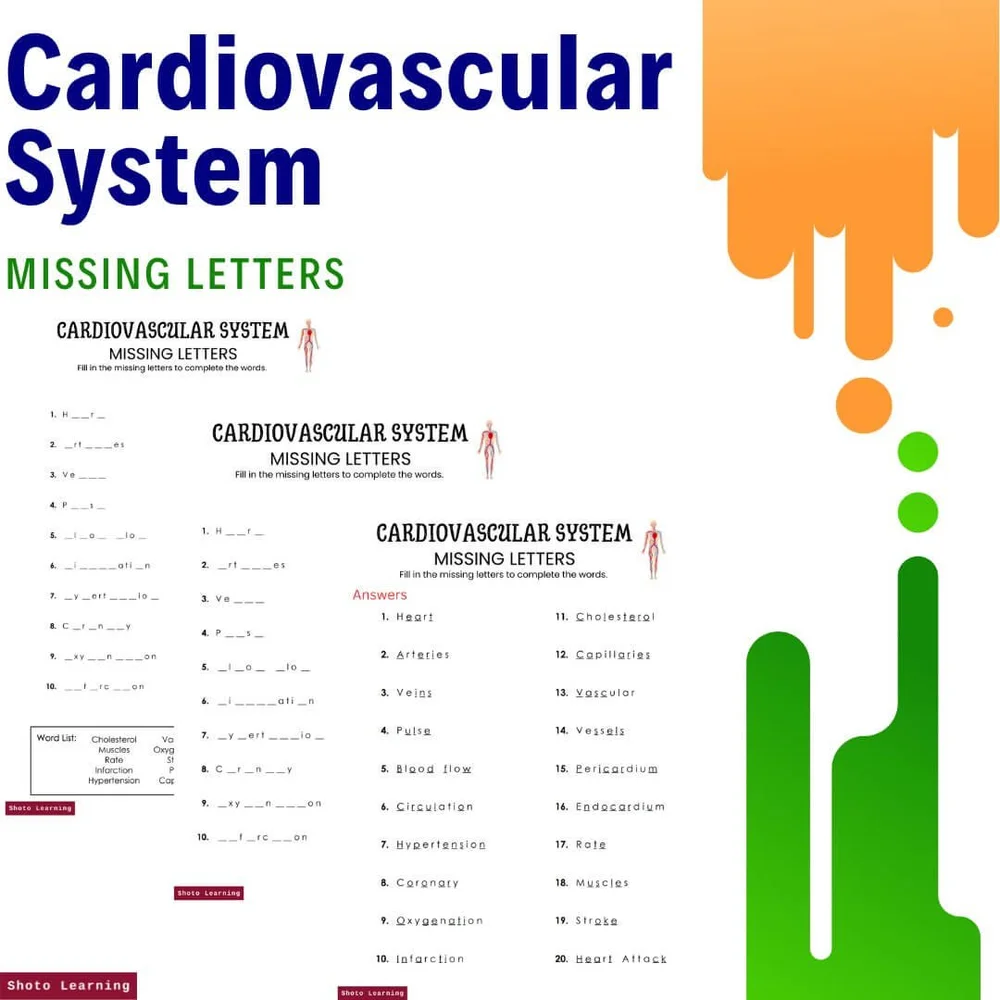 Cardiovascular System PowerPoint Lecture: Anatomy & Function