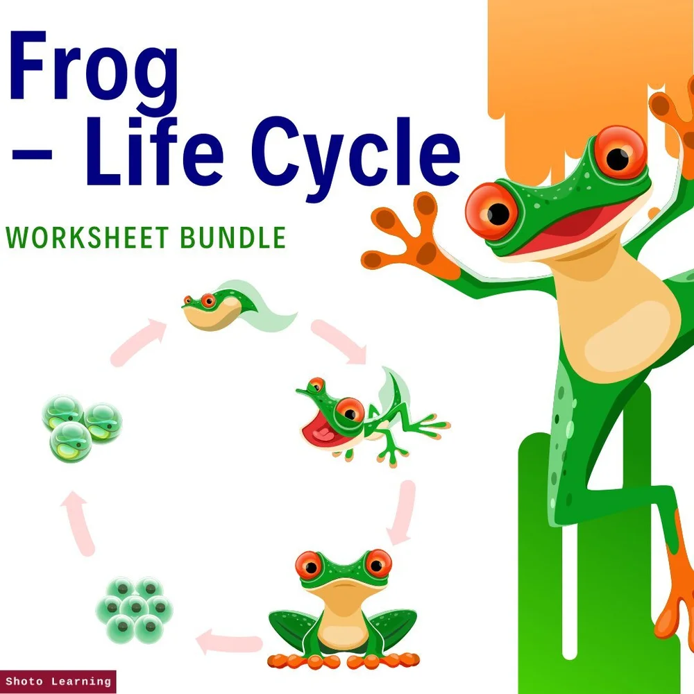Fun and Educational Frog Life Cycle Crossword Worksheets