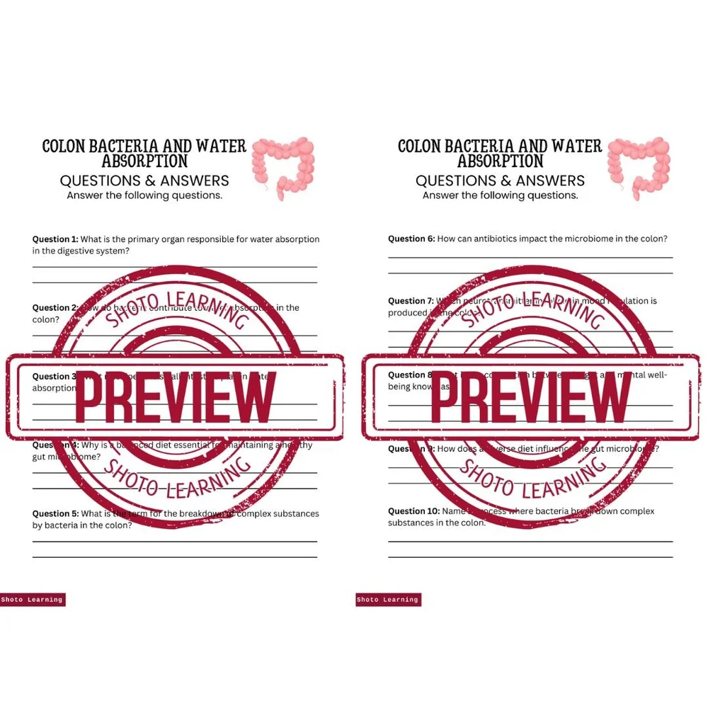 Colon Bacteria & Water Absorption Poster - Digestive System Insights