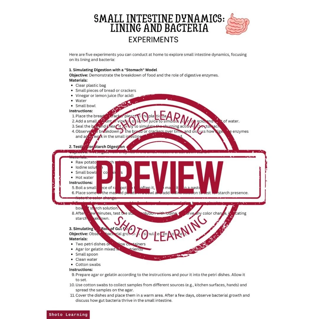 Small Intestine Worksheet: 20 Fill-in-the-Blank Questions