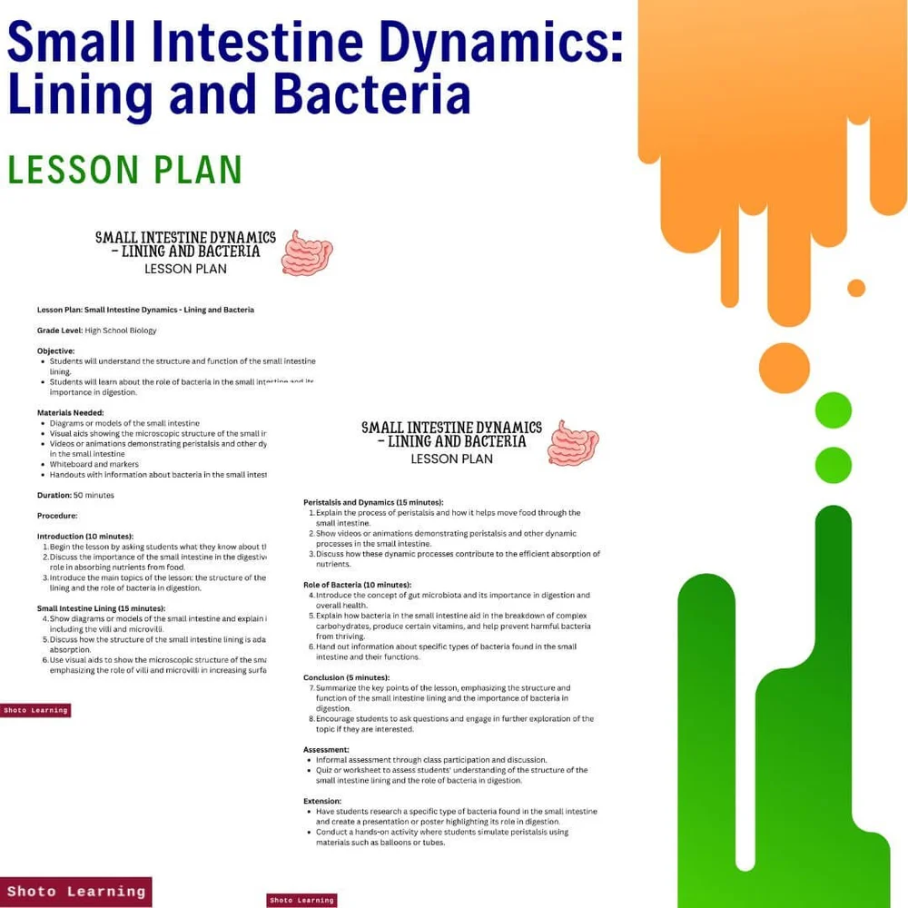 Small Intestine Word Search: Lining & Bacteria Puzzle