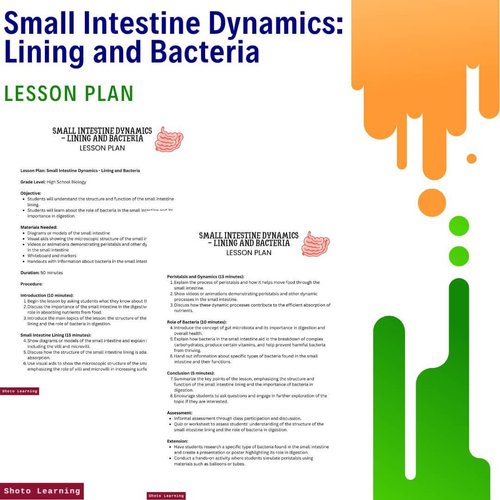 Small Intestine Word Search: Lining & Bacteria Puzzle