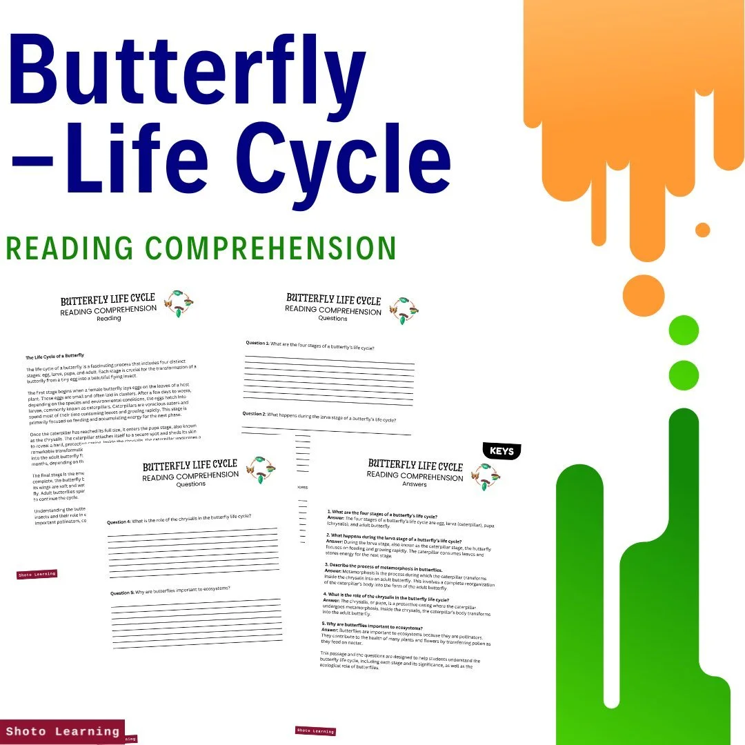 SEO Title: Butterfly Life Cycle Missing Letter Worksheets for Kids