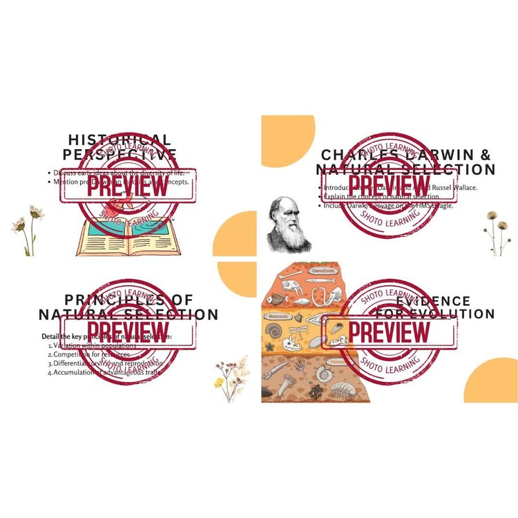 Theory of Evolution Poster: Explore Life’s Remarkable Journey