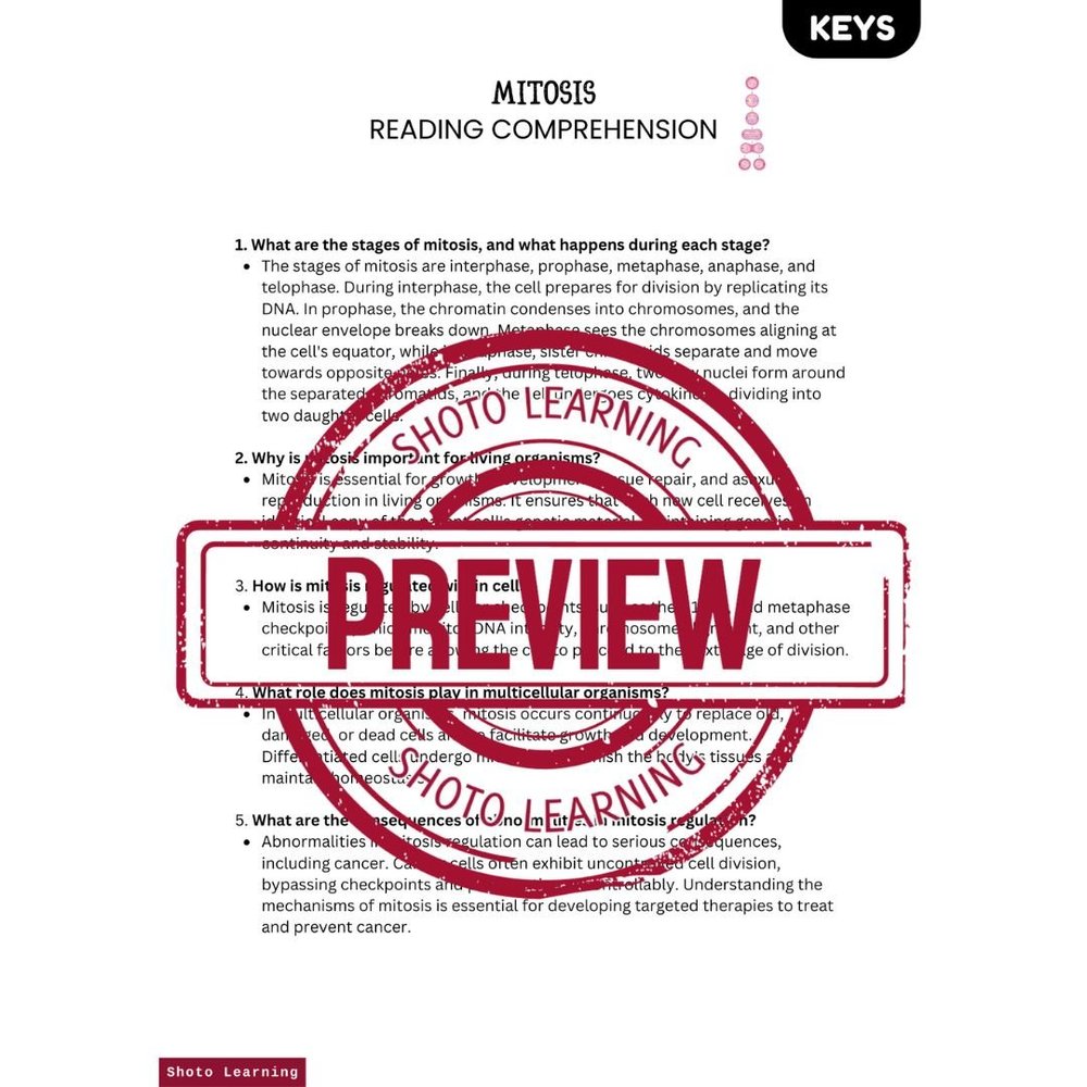 Unveiling Mitosis Poster - Educational Cell Division Chart
