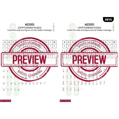 Interactive Meiosis Game Worksheet Bundle | Fun Learning Tools