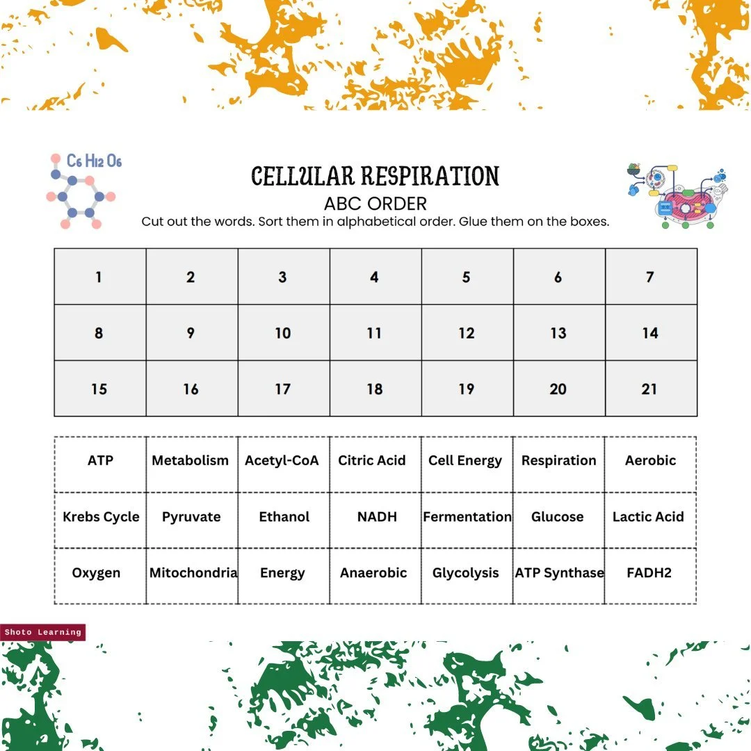 Cellular Respiration Label Worksheet | Word Box & Answer Key