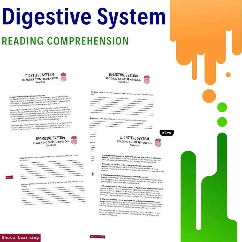 K-12 English, Math & Science Worksheets - Boost Learning Now