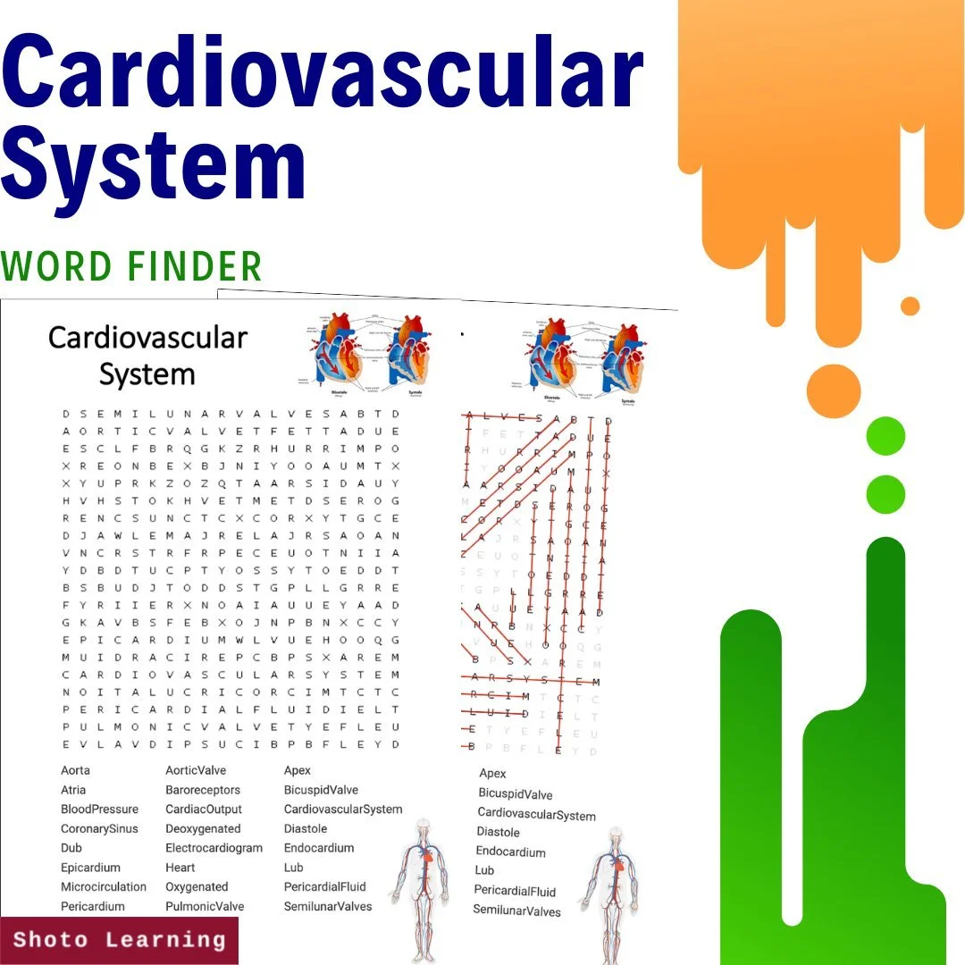 Free Cardiovascular System Poster - Learn & Decorate