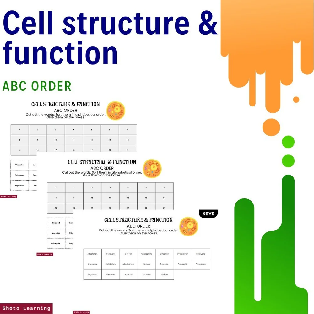 Cell Structure & Function Q&A Worksheet: Boost Biology Skills!