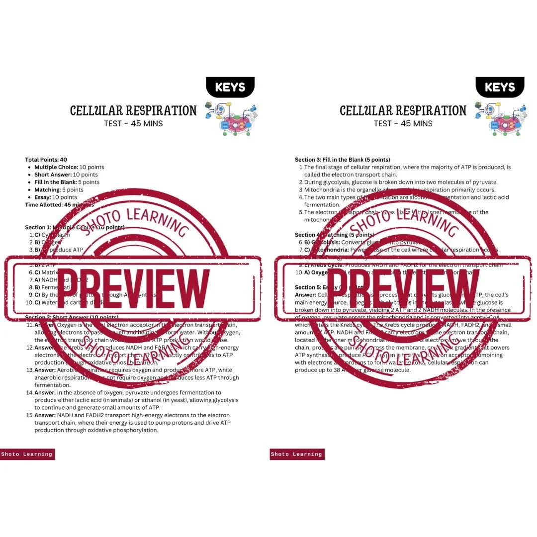 Cellular Respiration Flashcards | 20 Key Biology Terms