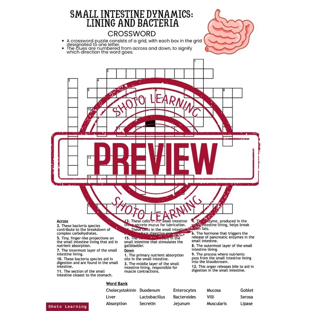 Small Intestine Word Search: Lining & Bacteria Puzzle