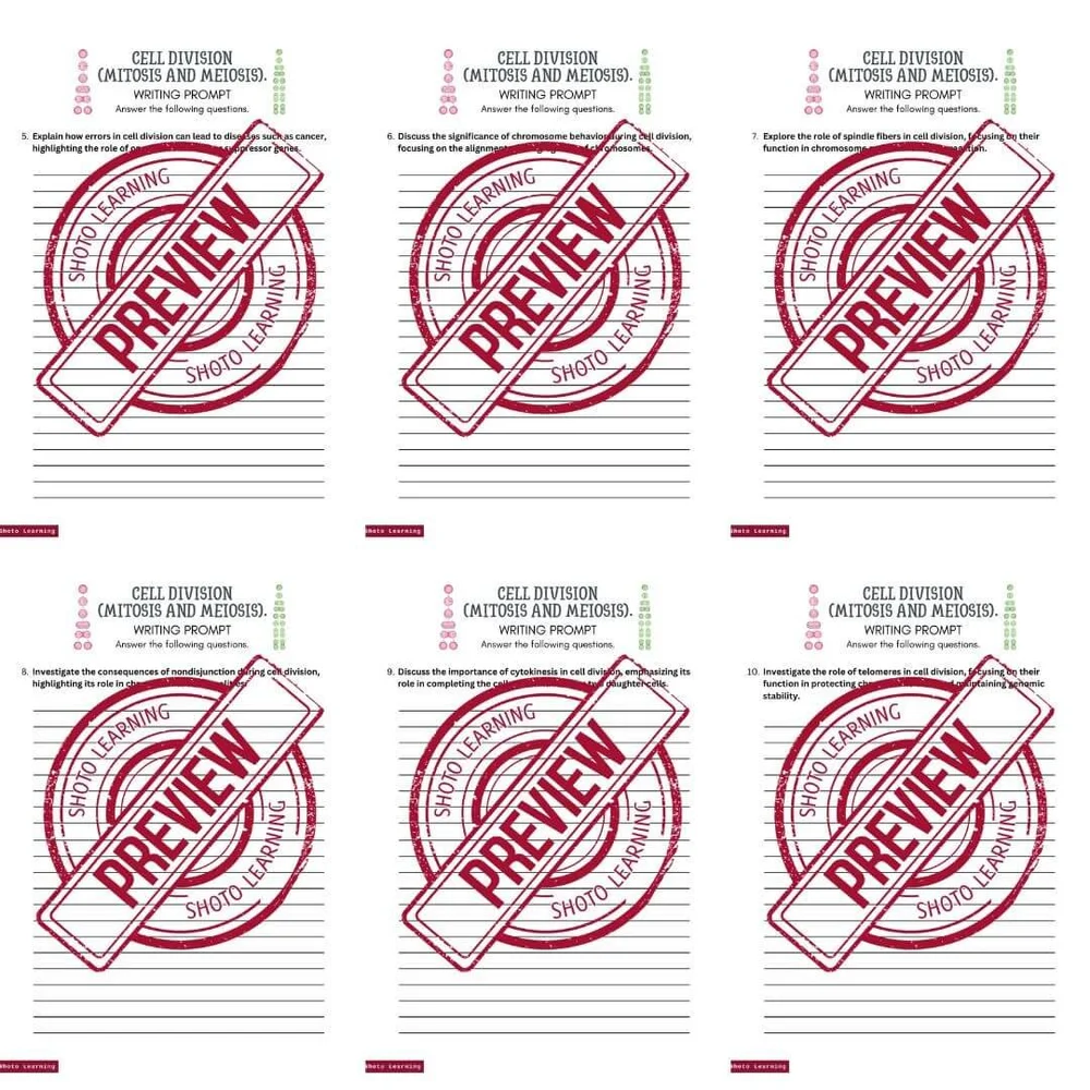 Mitosis vs Meiosis Poster: Visual Guide to Cell Division