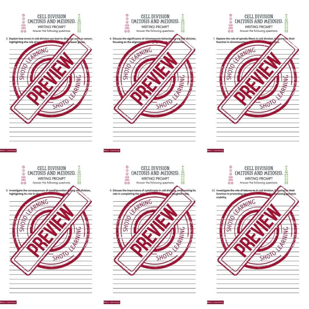 Mitosis vs Meiosis Poster: Visual Guide to Cell Division