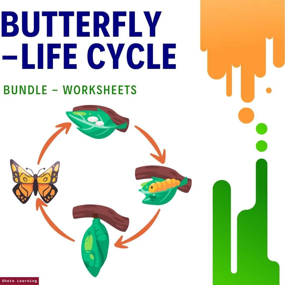 Butterfly Life Cycle Quiz - 20 True or False Questions for Kids